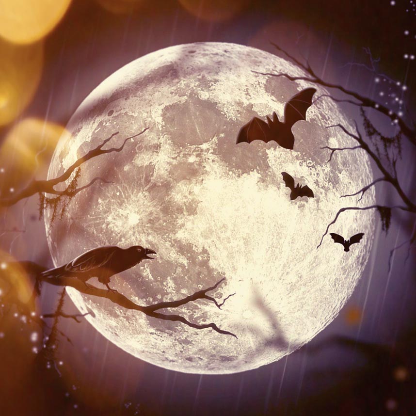 Volle maan 31 oktober 2020 - Petra Stam